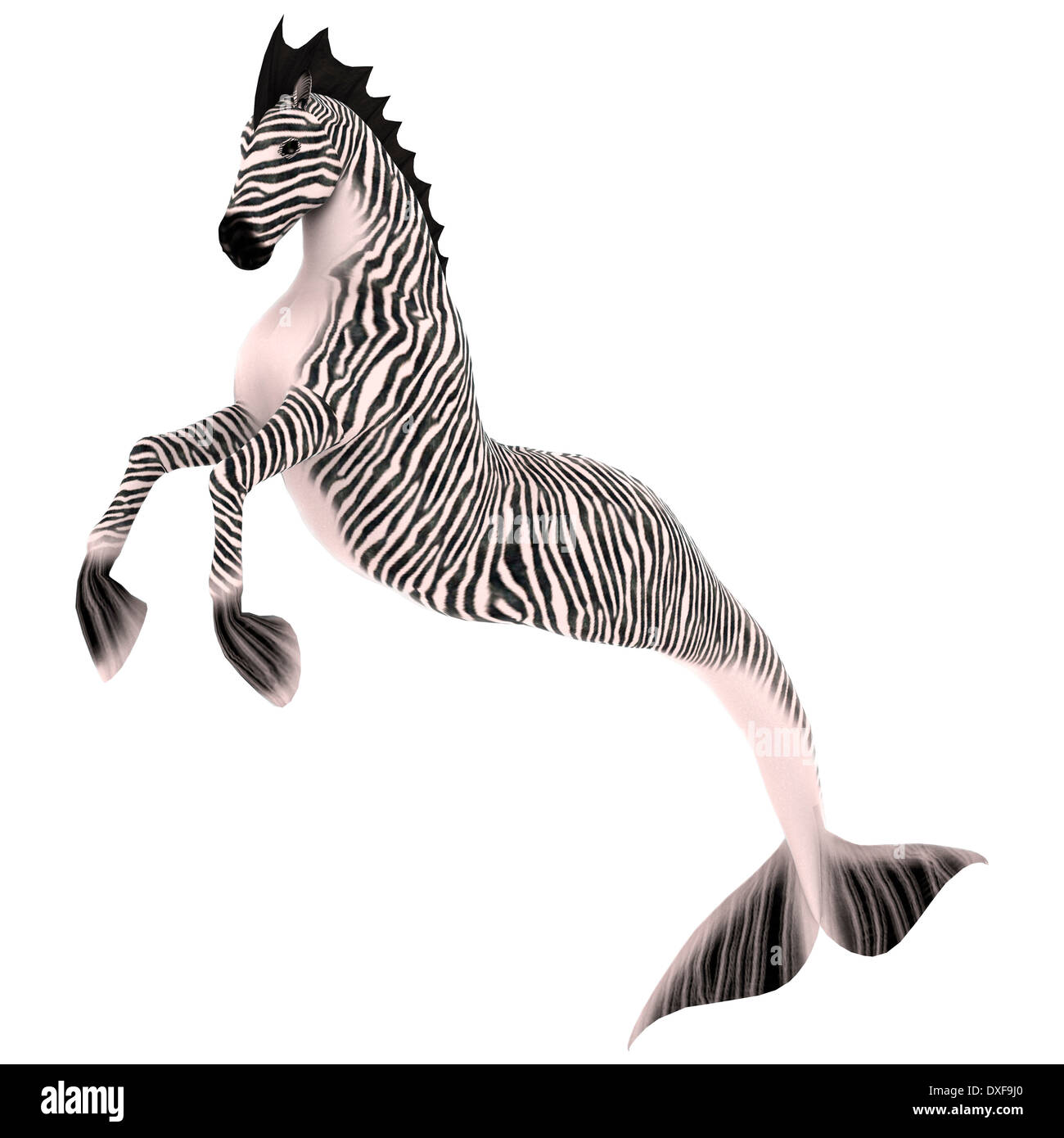 3D digital render of Hippocampus (Mermaid's Horse) isolated on white ...