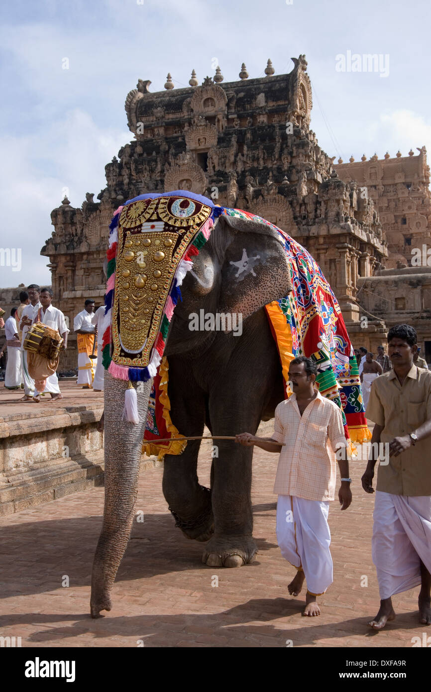 Temple elephant at Brihadishvera Hindu Temple in the city of Thanjavur ...