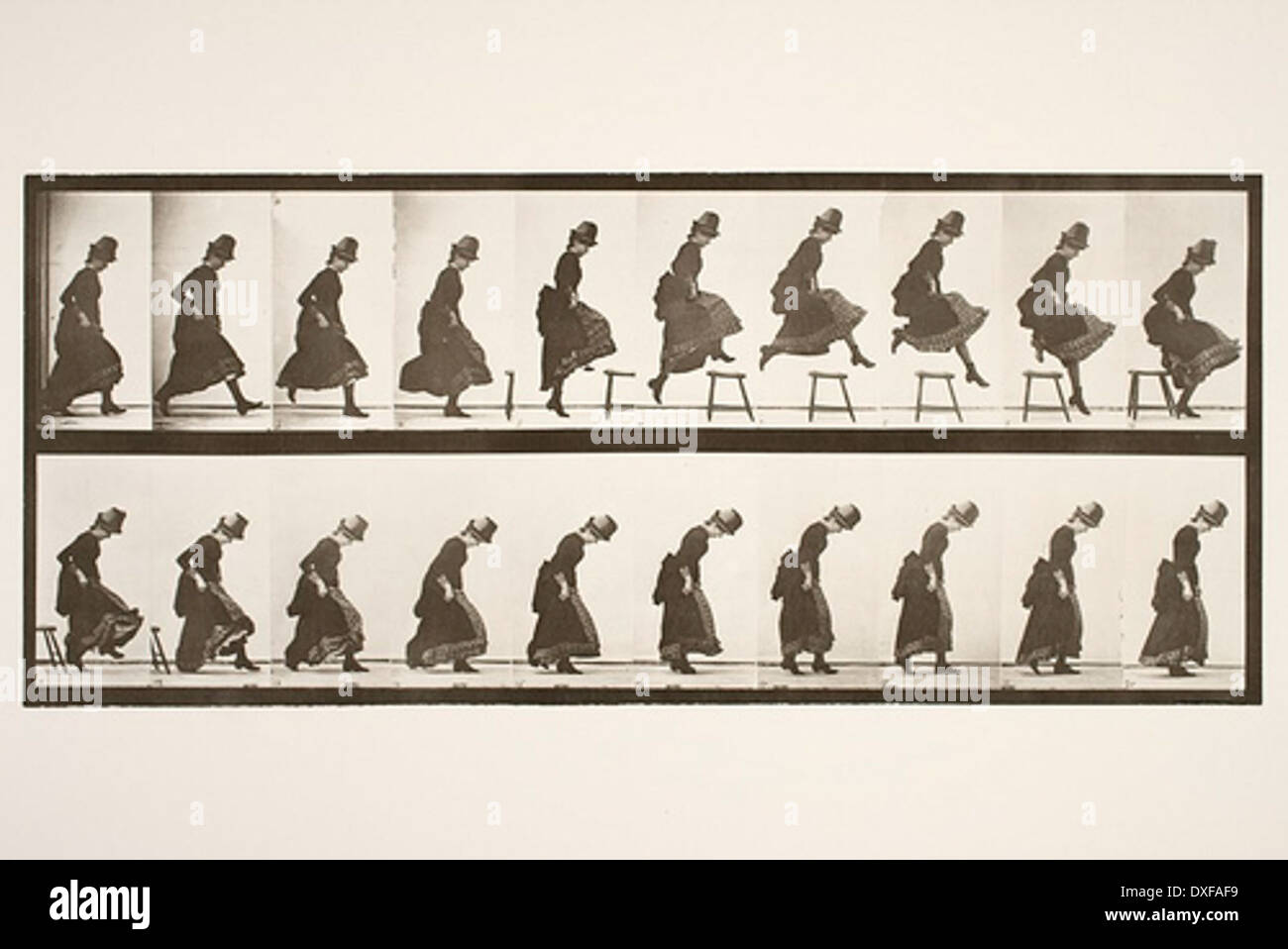 Straight running hi-res stock photography and images - Alamy