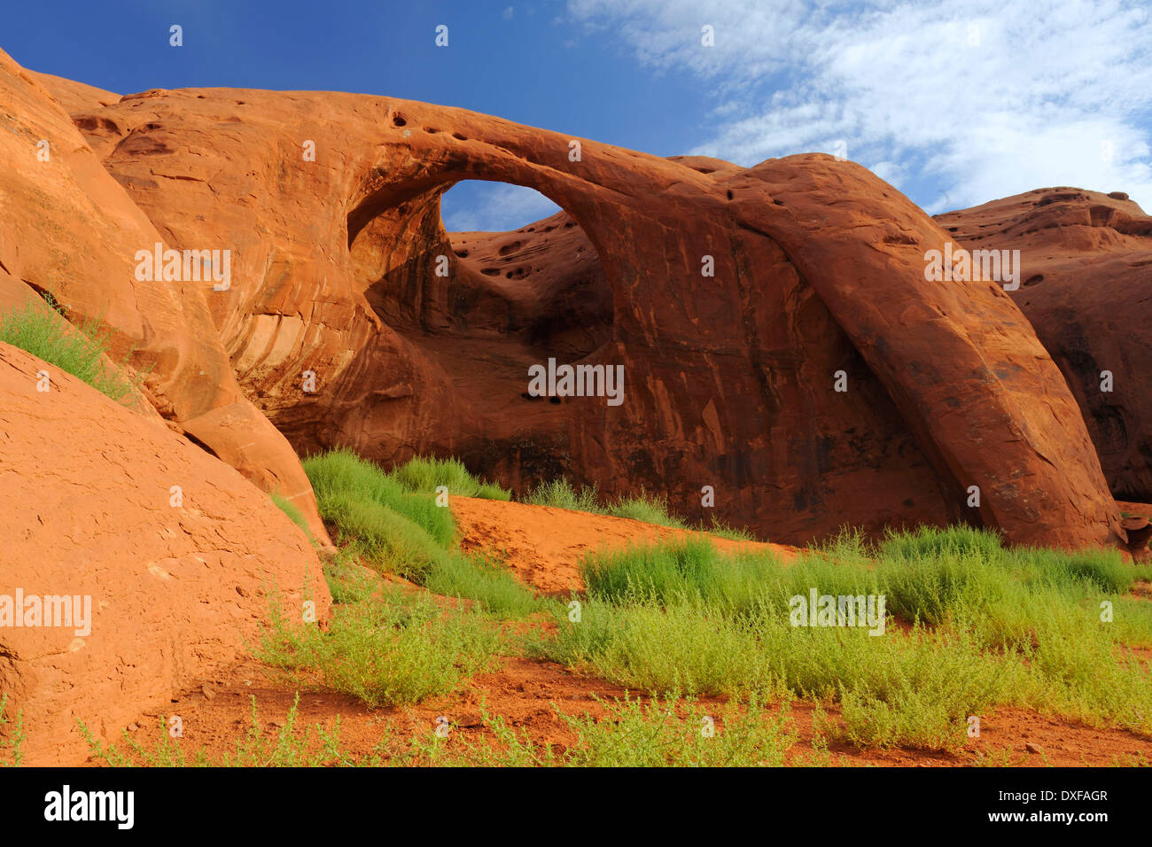 Moccasin arch hi-res stock photography and images - Alamy