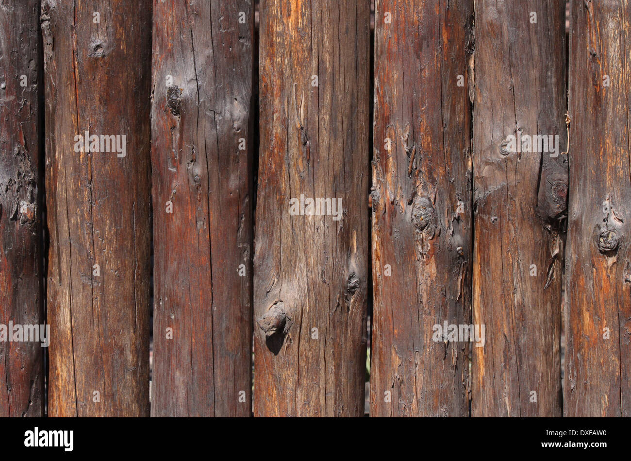 Close board fence hi-res stock photography and images - Alamy