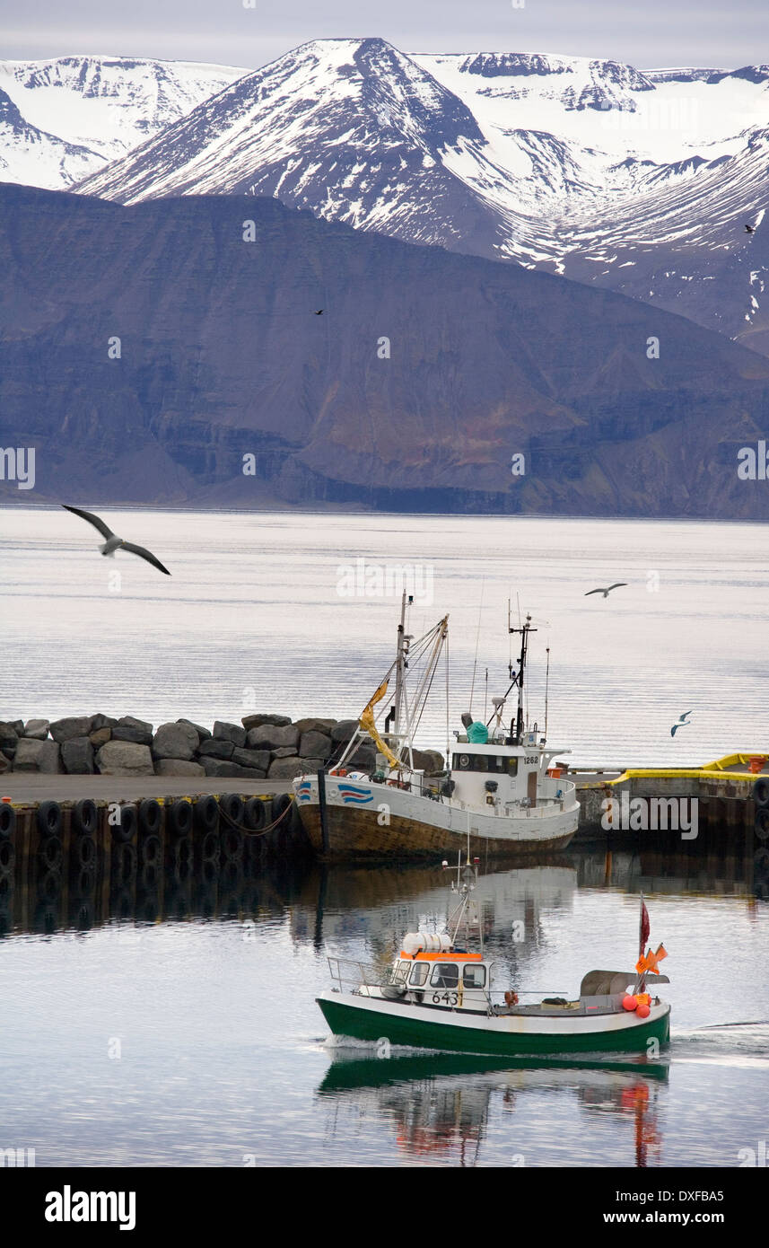 Husavik port harbour north hi-res stock photography and images - Alamy