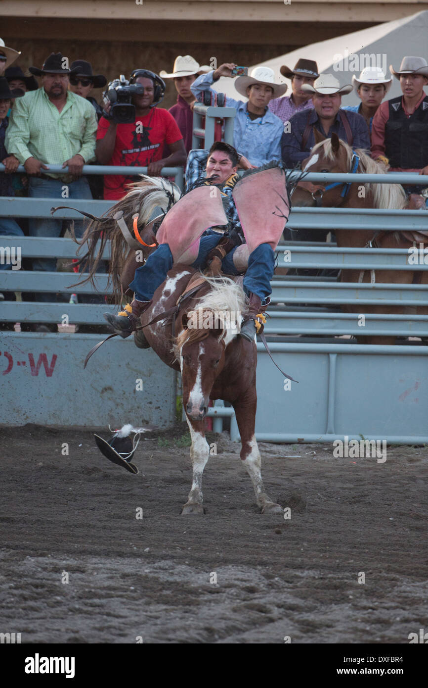 A Native American cowboy rides in the Saddle Bronc event at the Tsuu T ...