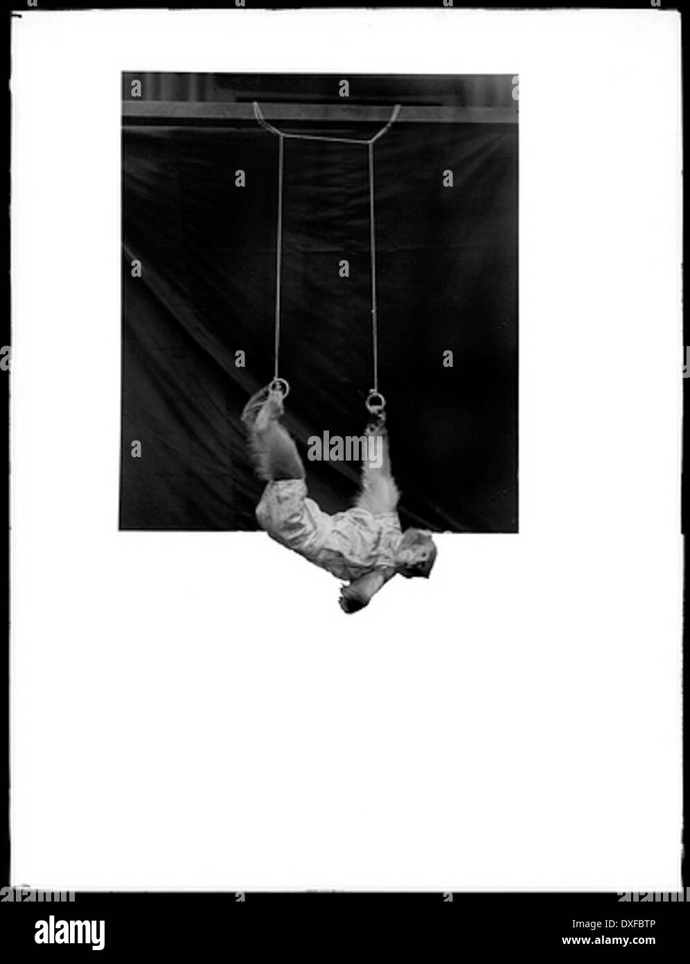 Photo shows exhibits on Black and White Stock Photos & Images - Alamy