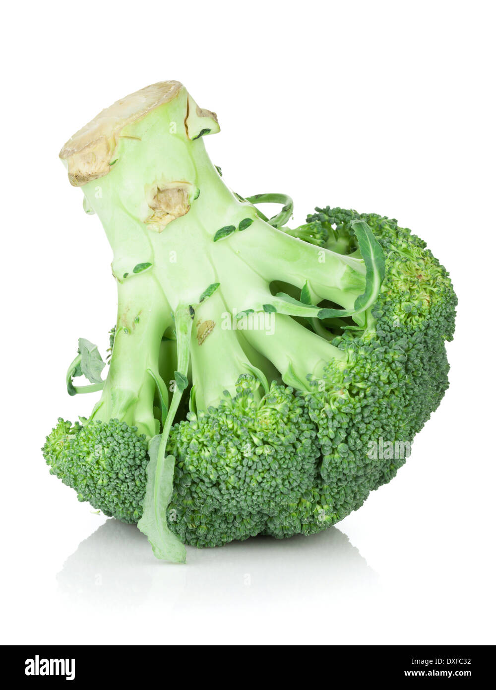 Broccoli. Isolated on white background Stock Photo - Alamy
