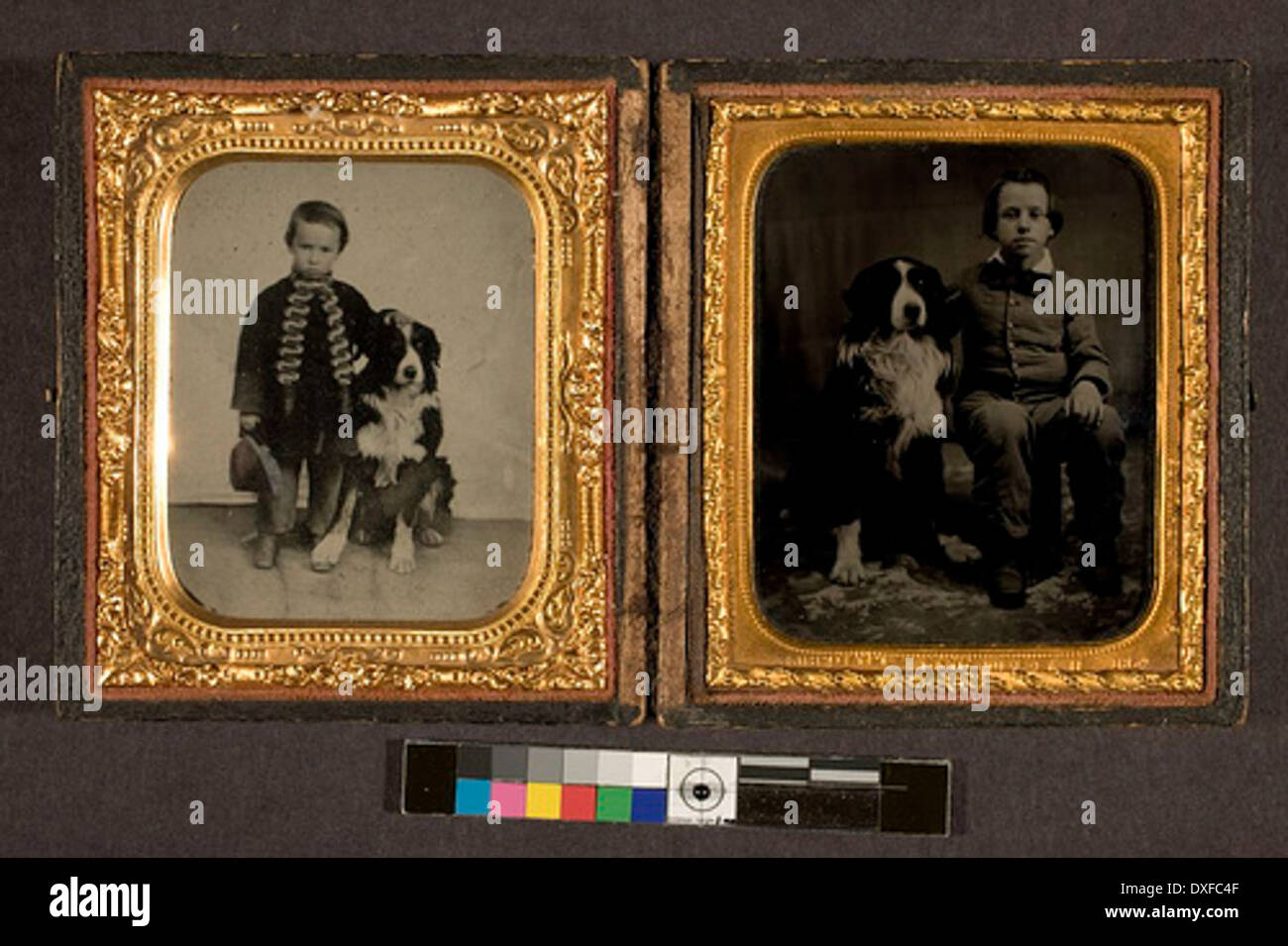 Vintage dog portrait hi-res stock photography and images - Alamy