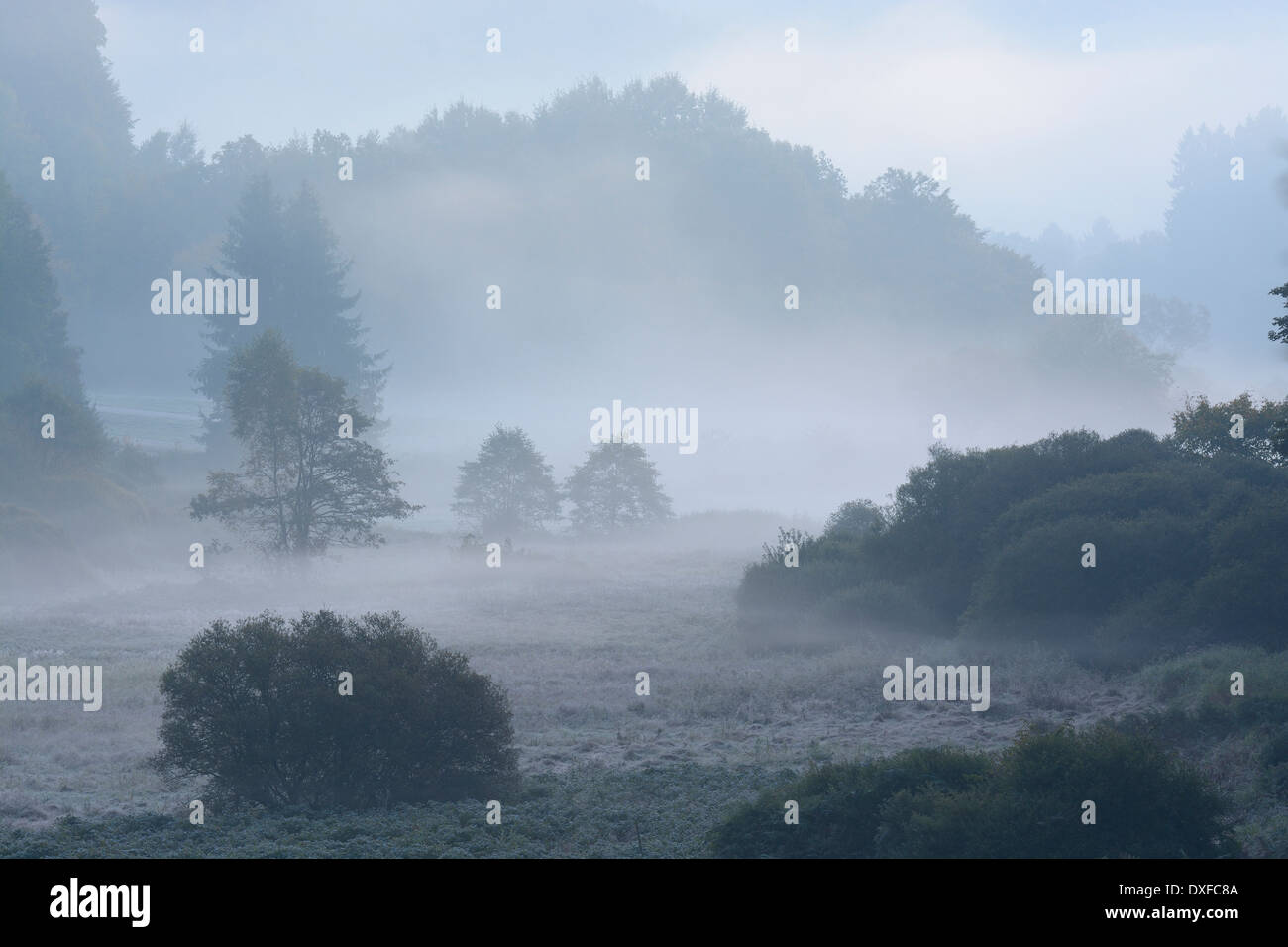 Spessart valley hi-res stock photography and images - Alamy