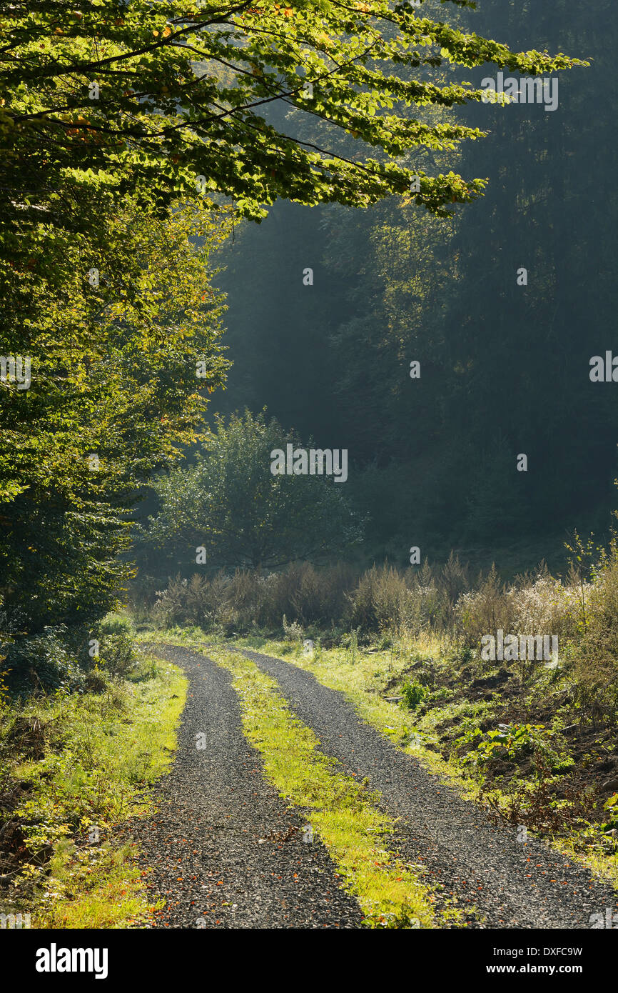 Dual track road hi-res stock photography and images - Alamy