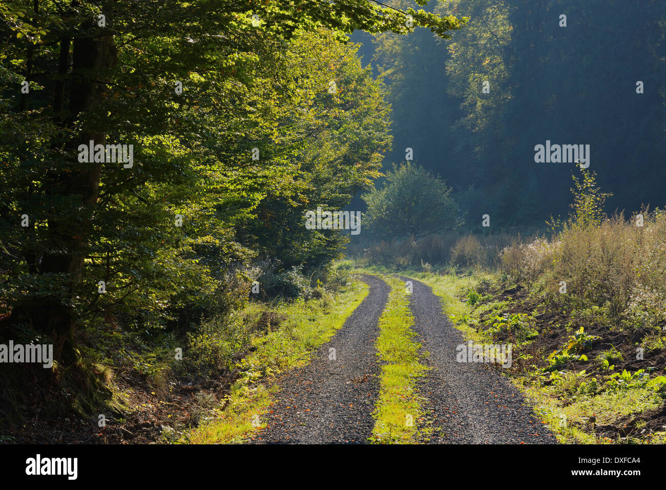 Dual track road hi-res stock photography and images - Alamy