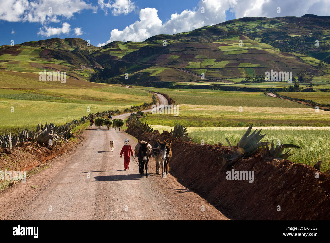 Local people in the countryside high in the Andes near Urubamba in Peru ...