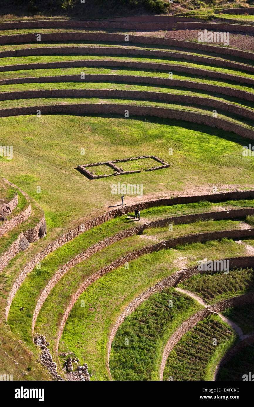 Inca terraces moray sacred valley hi-res stock photography and images ...