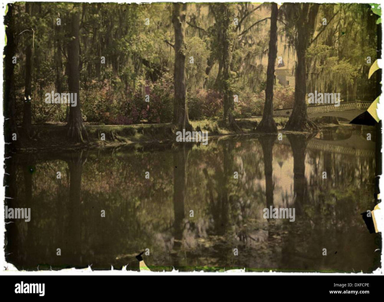 Reflective pond with trees and bridge Stock Photo - Alamy