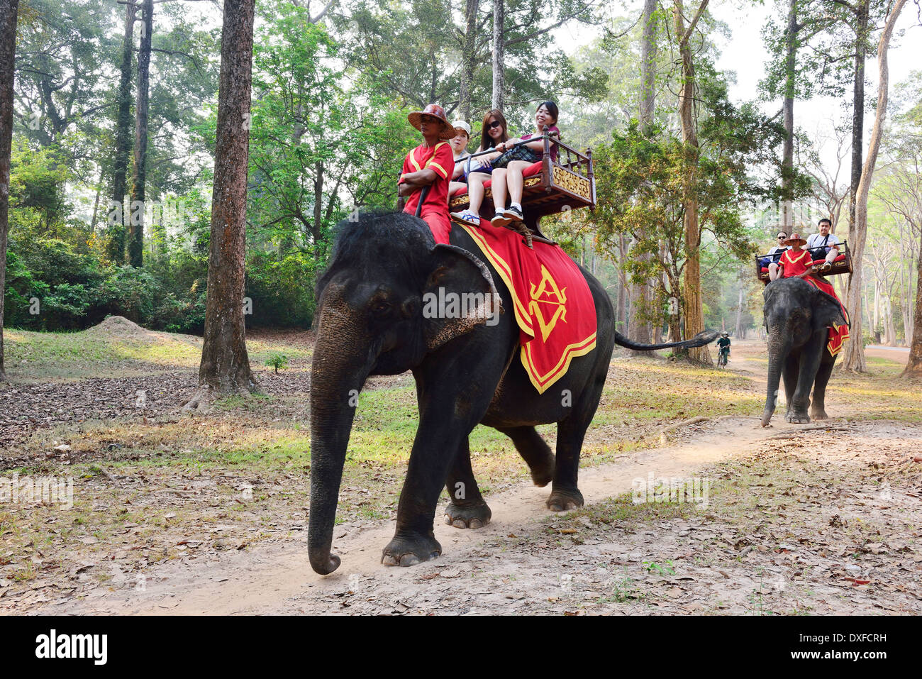 Tourists riding on elephants hi-res stock photography and images - Alamy
