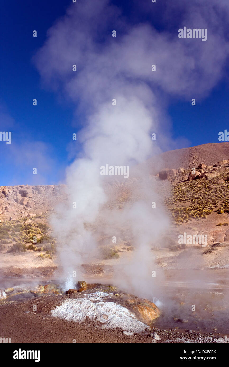 Geyser at the El Tatio Geyser Field at 4500m (14764ft) in the Atacama ...