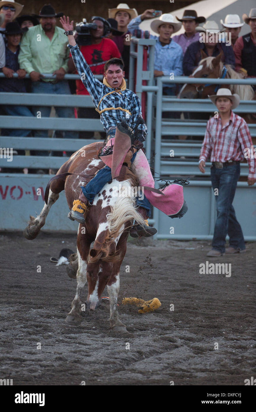 A Native American cowboy rides in the Saddle Bronc event at the Tsuu T ...