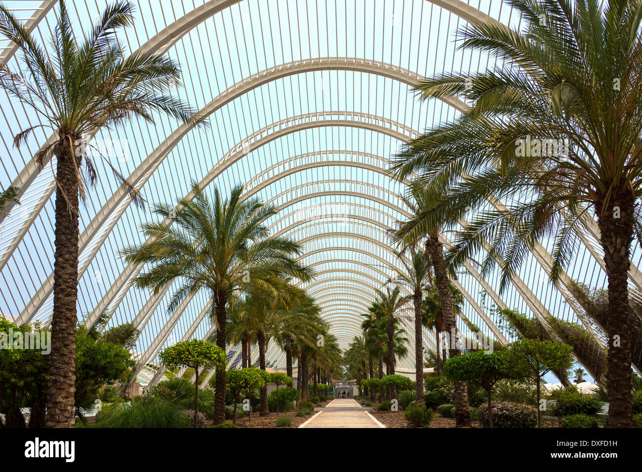 Pais valencia hi-res stock photography and images - Alamy