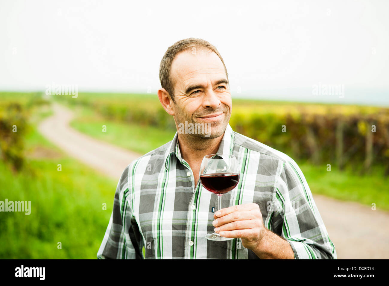 Portrait of vintner standing in vineyard, holding glass of wine ...