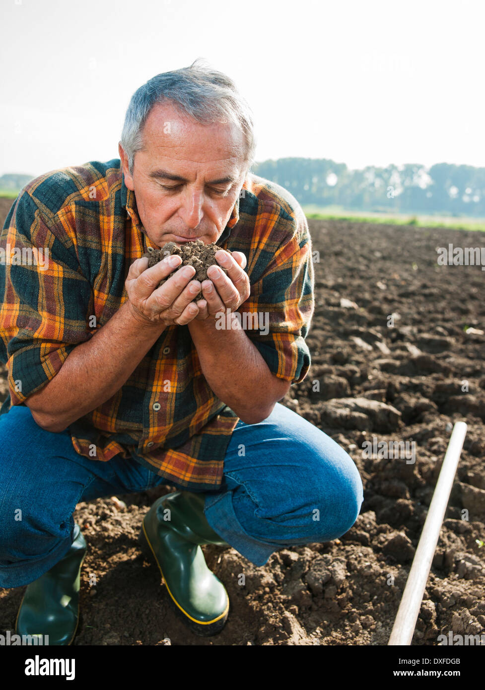 Farmer working in field, holding and smelling soil in hands, Germany ...
