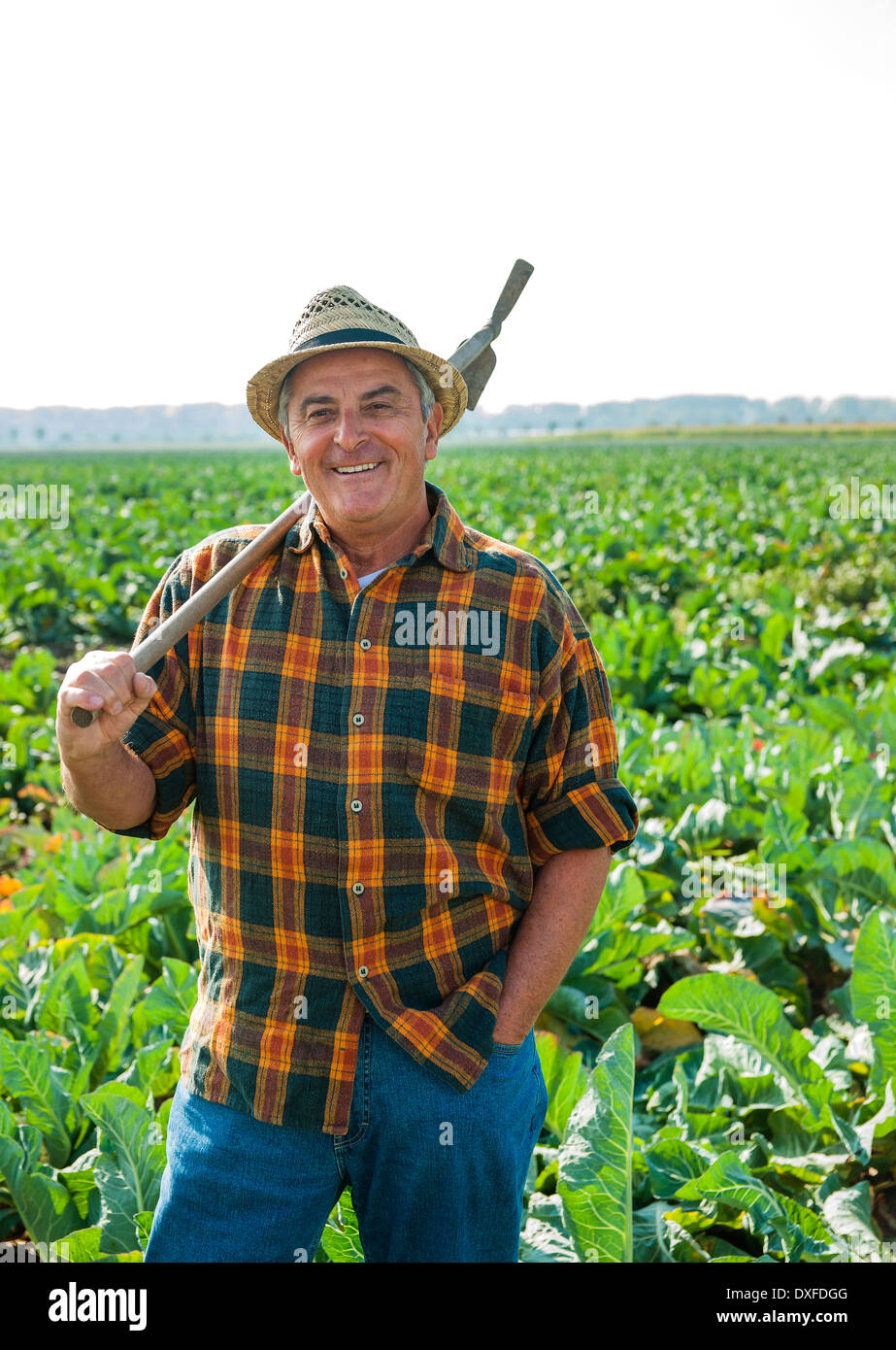 Male portrait fedora smiling hi-res stock photography and images - Alamy
