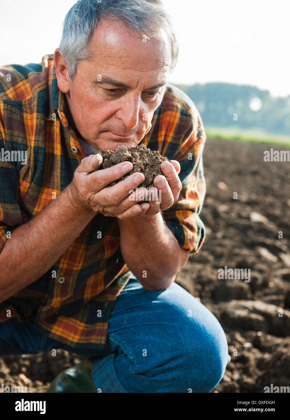 Soil testing field hi-res stock photography and images - Alamy