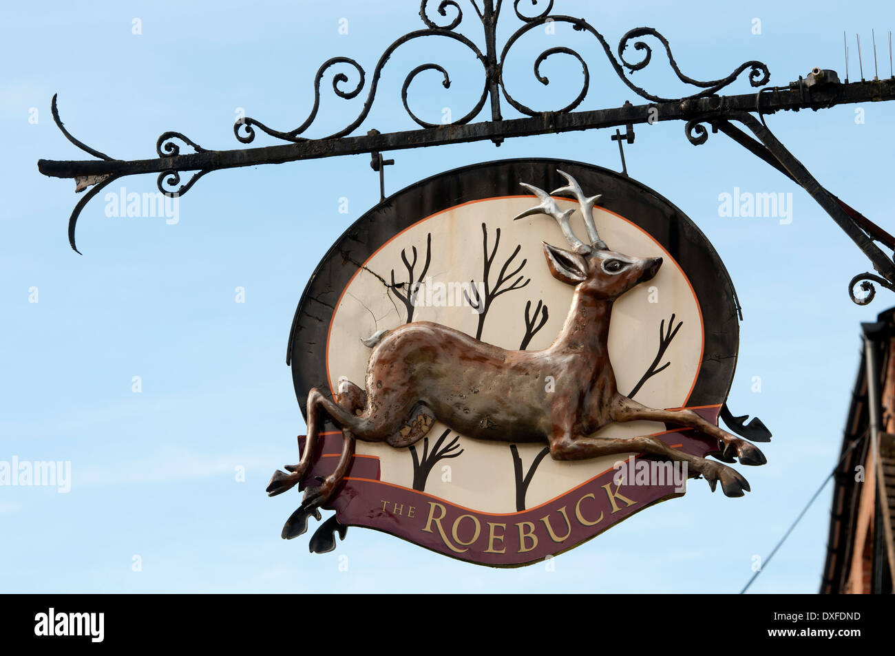 The Roebuck pub sign, Warwick, Warwickshire, UK Stock Photo - Alamy