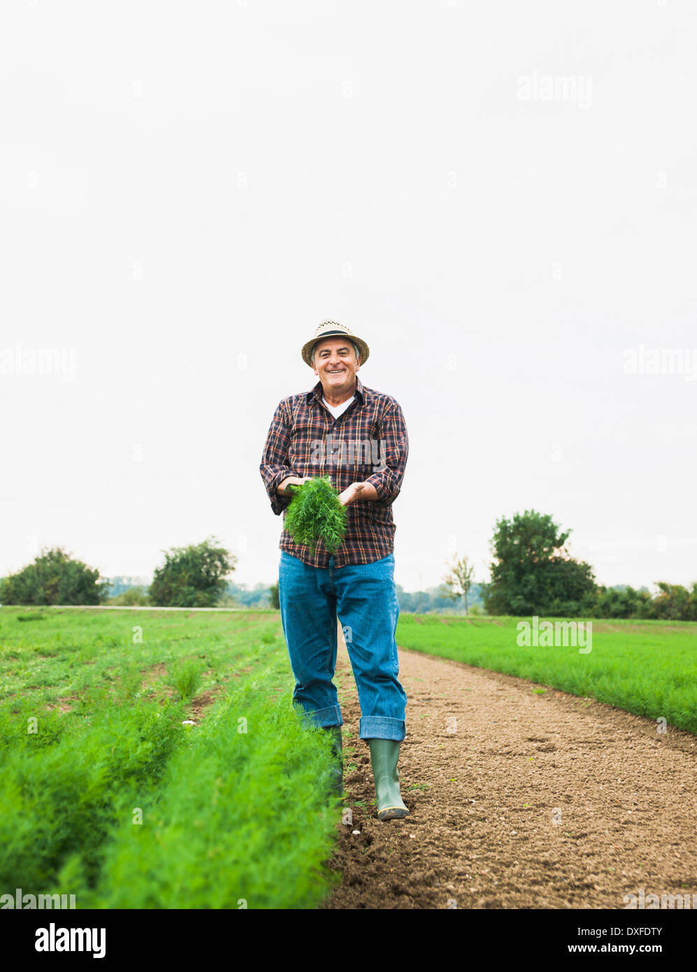 Farmer standing in field, holding plant from crop, Germany Stock Photo ...