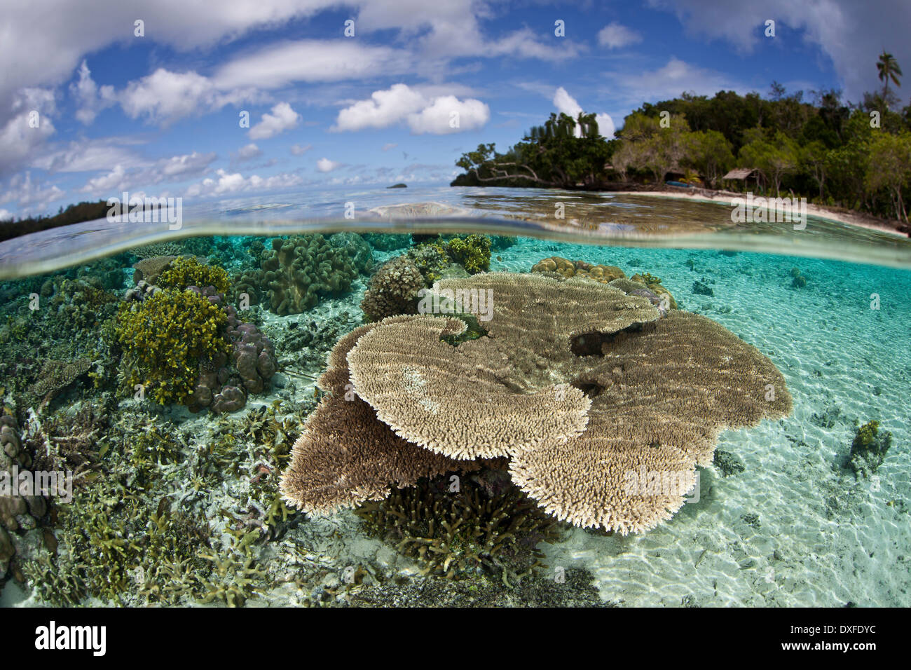 Lagoon of tropical island, Melanesia, Pacific Ocean, Solomon Islands ...