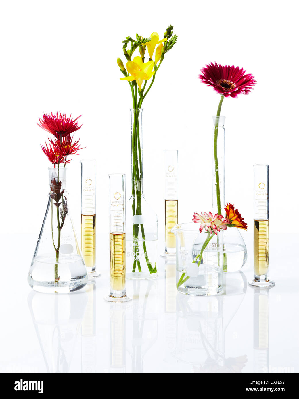 Angus fergusson hi-res stock photography and images - Alamy