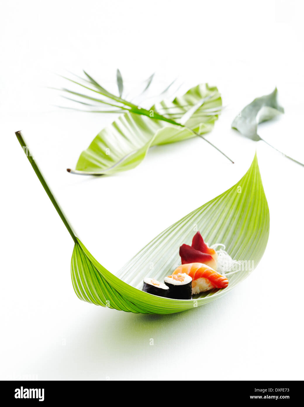 Leaf studio Cut Out Stock Images & Pictures - Alamy