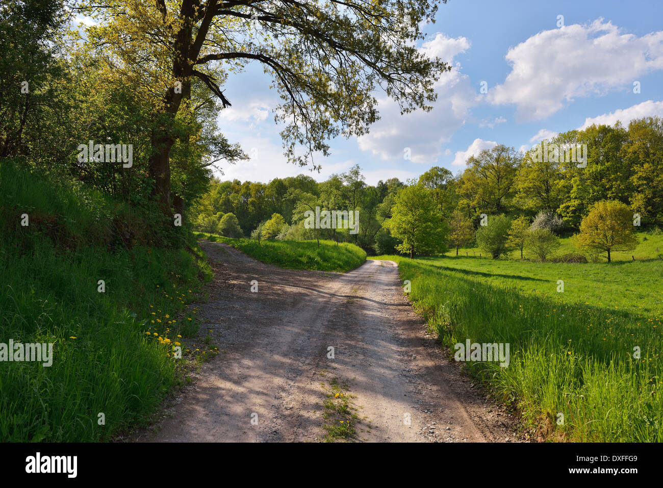 Person at fork in road hi-res stock photography and images - Alamy