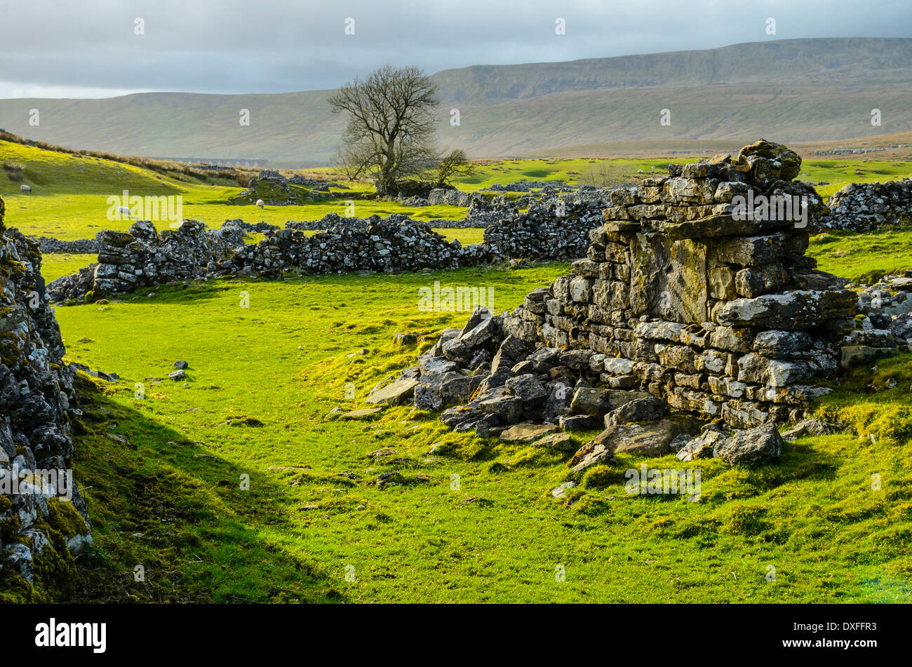 Ribblehead yorkshire dales england hi-res stock photography and images ...