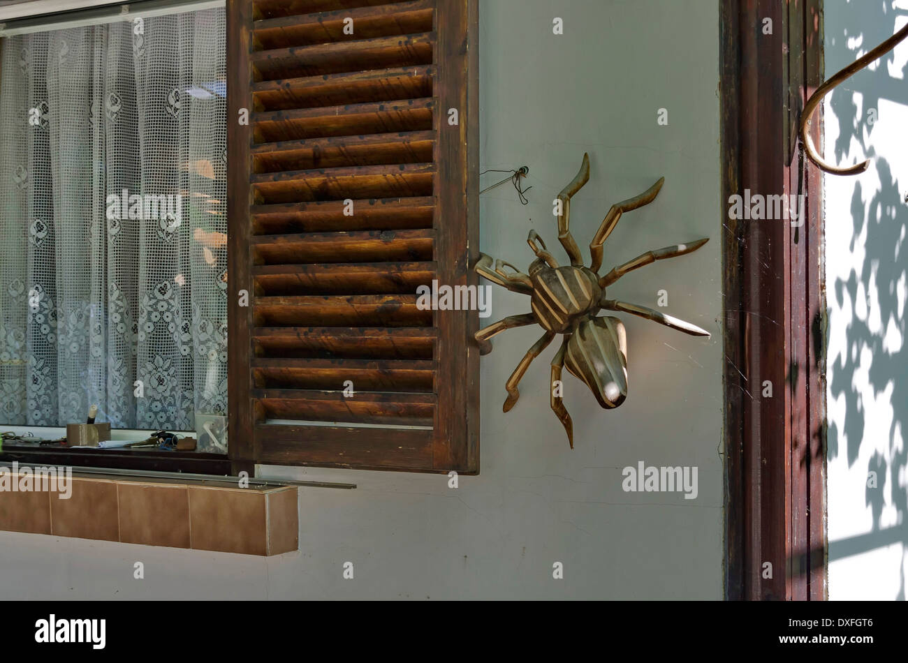Big wood spider by window Stock Photo - Alamy
