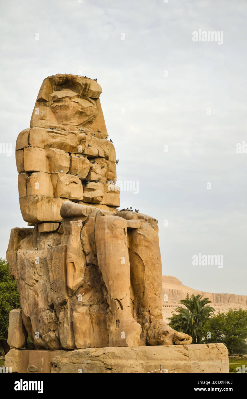 memnon colossi at karnak, egypt Stock Photo - Alamy