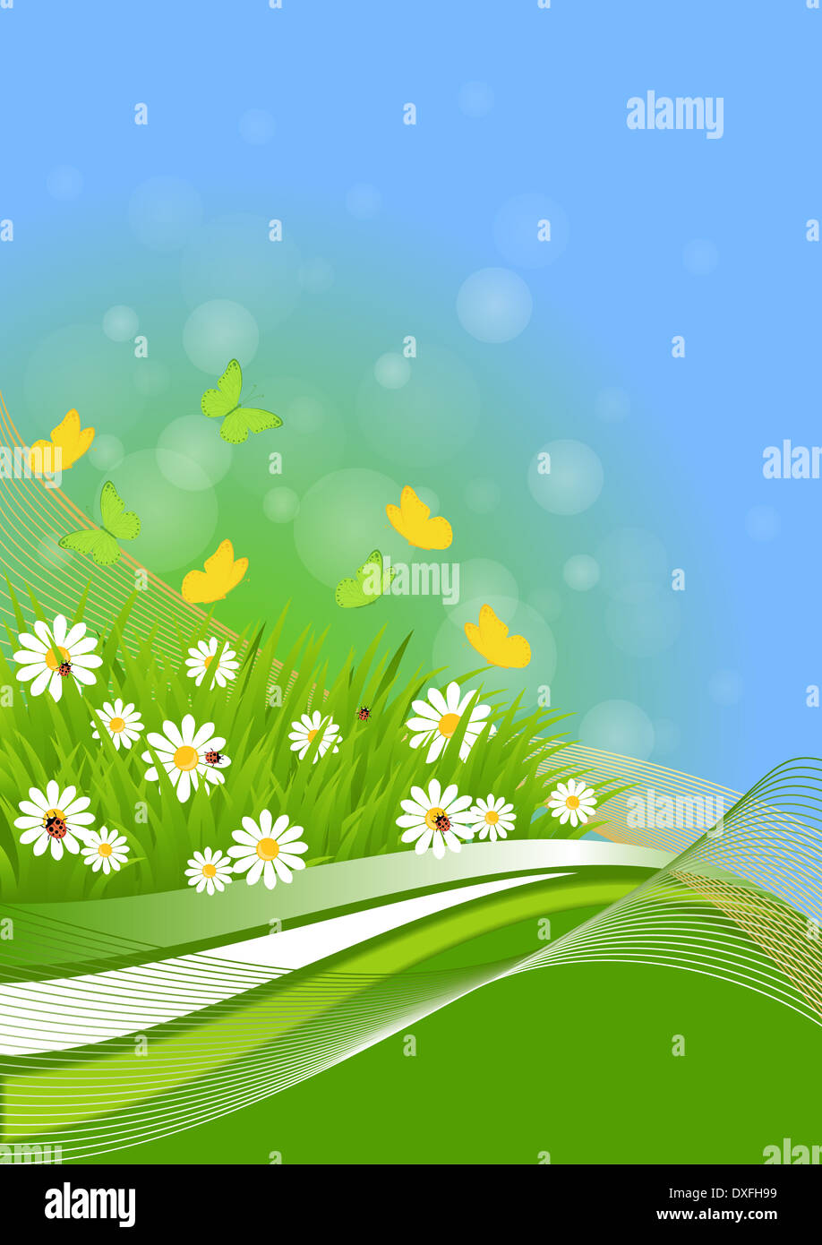 spring background with green grass, butterflies and ladybugs Stock ...