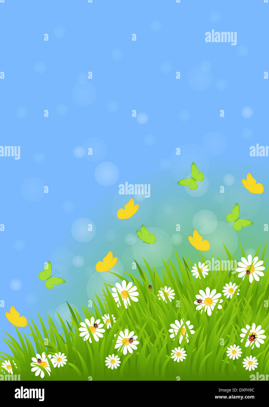 spring background with green grass, butterflies and ladybugs Stock ...