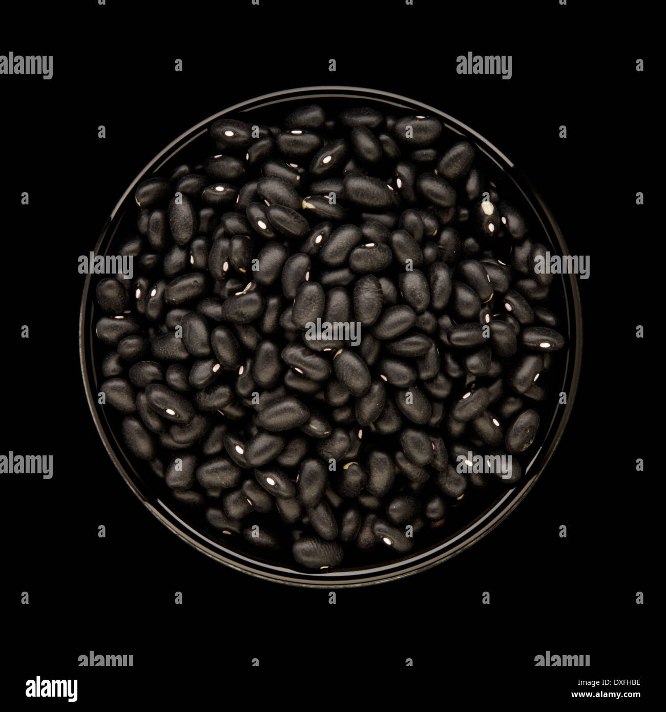 Criollo beans hi-res stock photography and images - Alamy