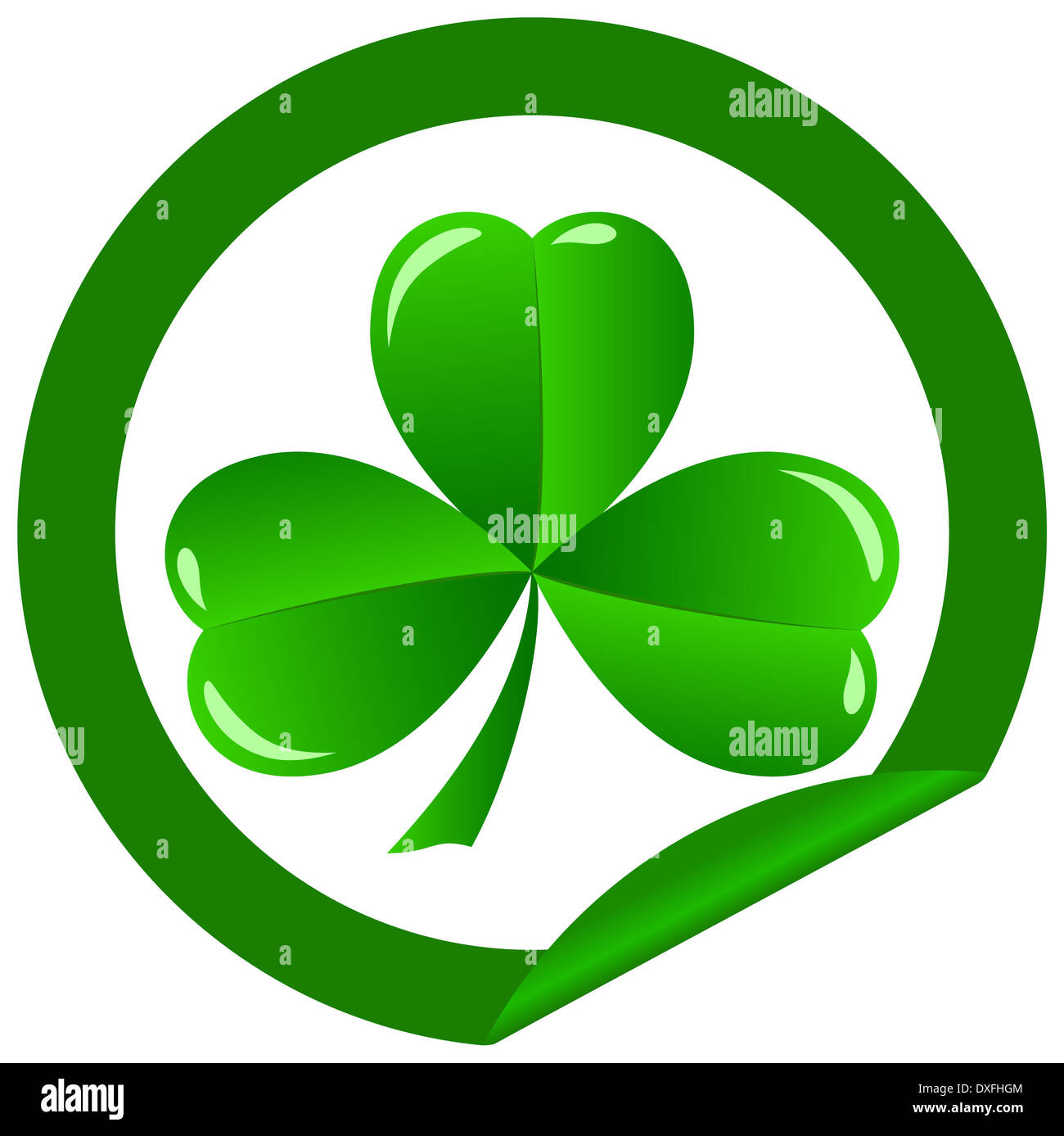 green shamrock as a symbol of St. Patrick's Day Isolated on white ...