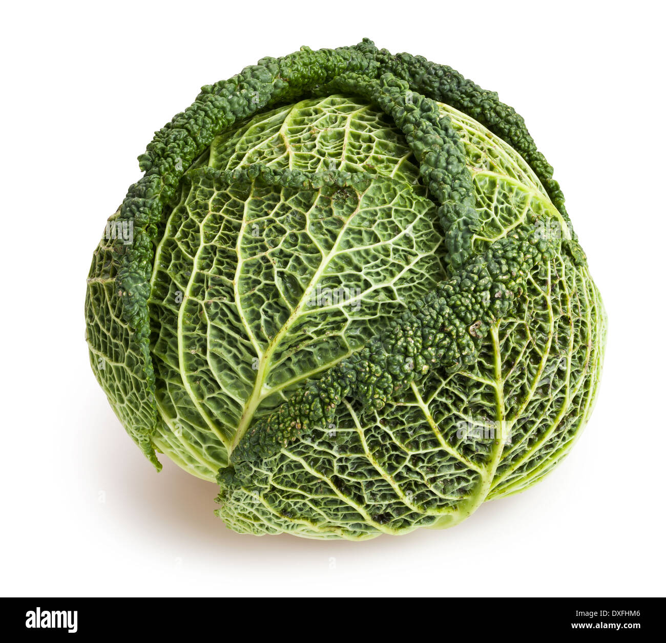 savoy cabbage isolated Stock Photo - Alamy