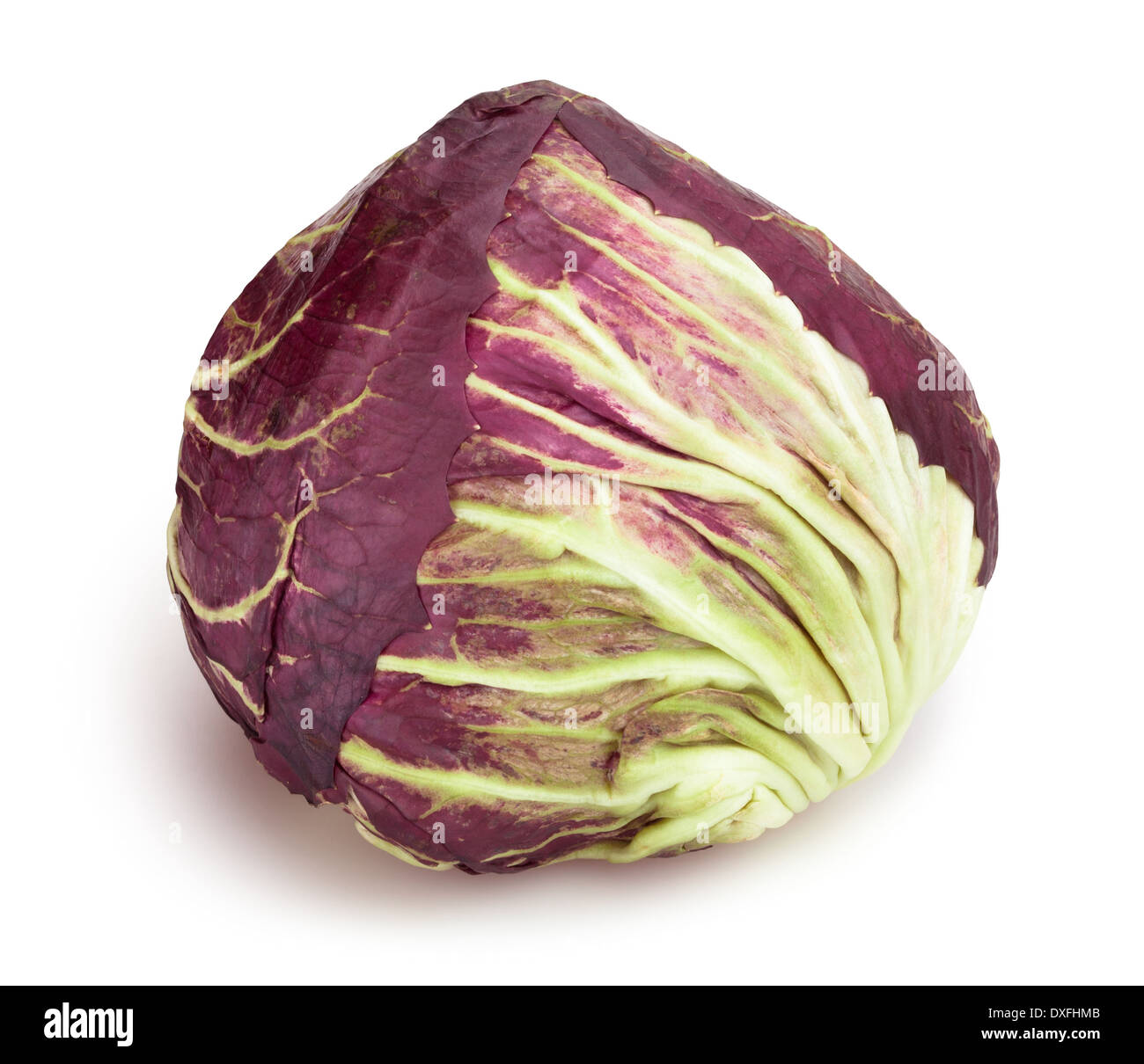 Green radicchio hi-res stock photography and images - Alamy
