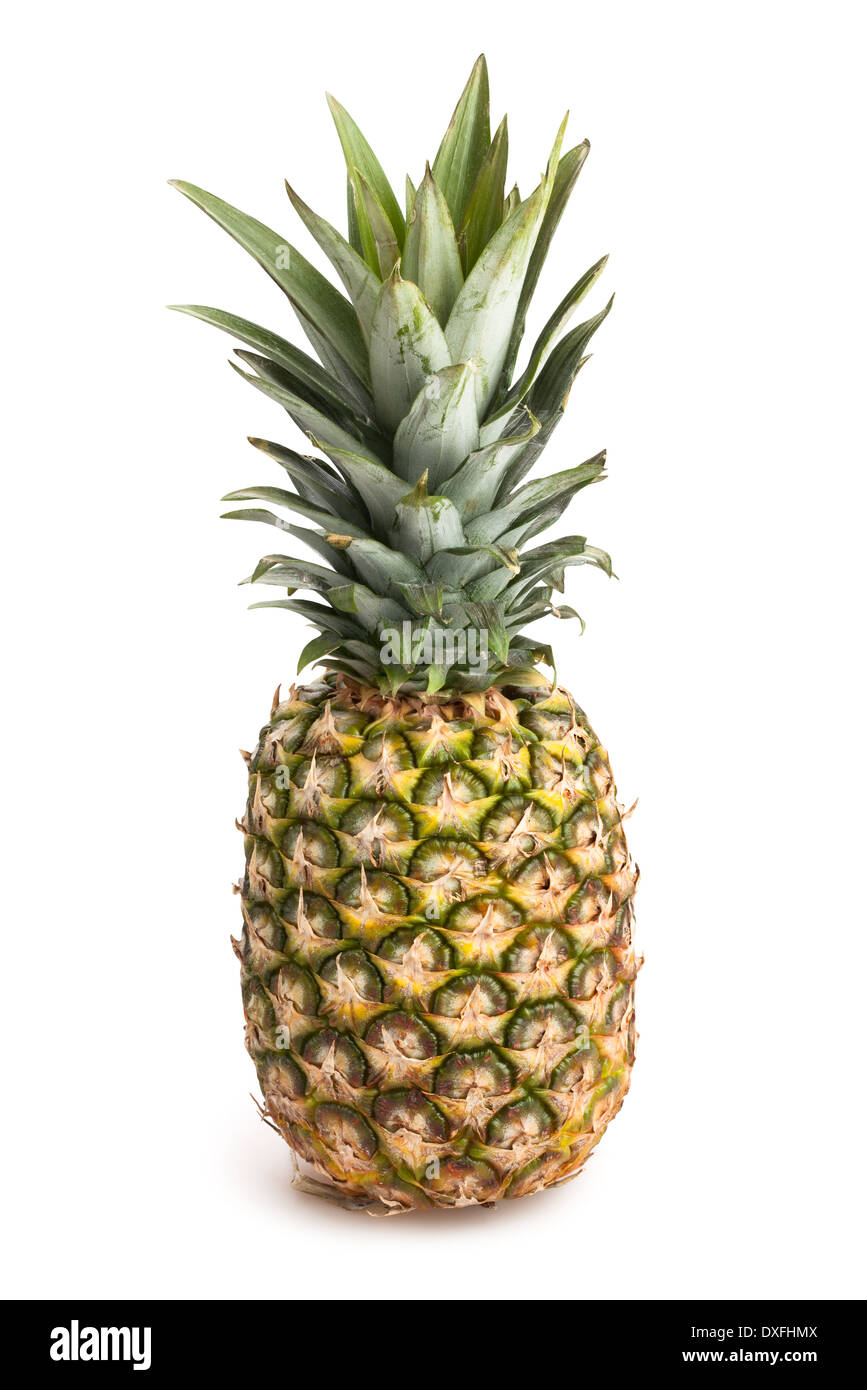 Fresh whole pineapple studio Cut Out Stock Images & Pictures - Alamy