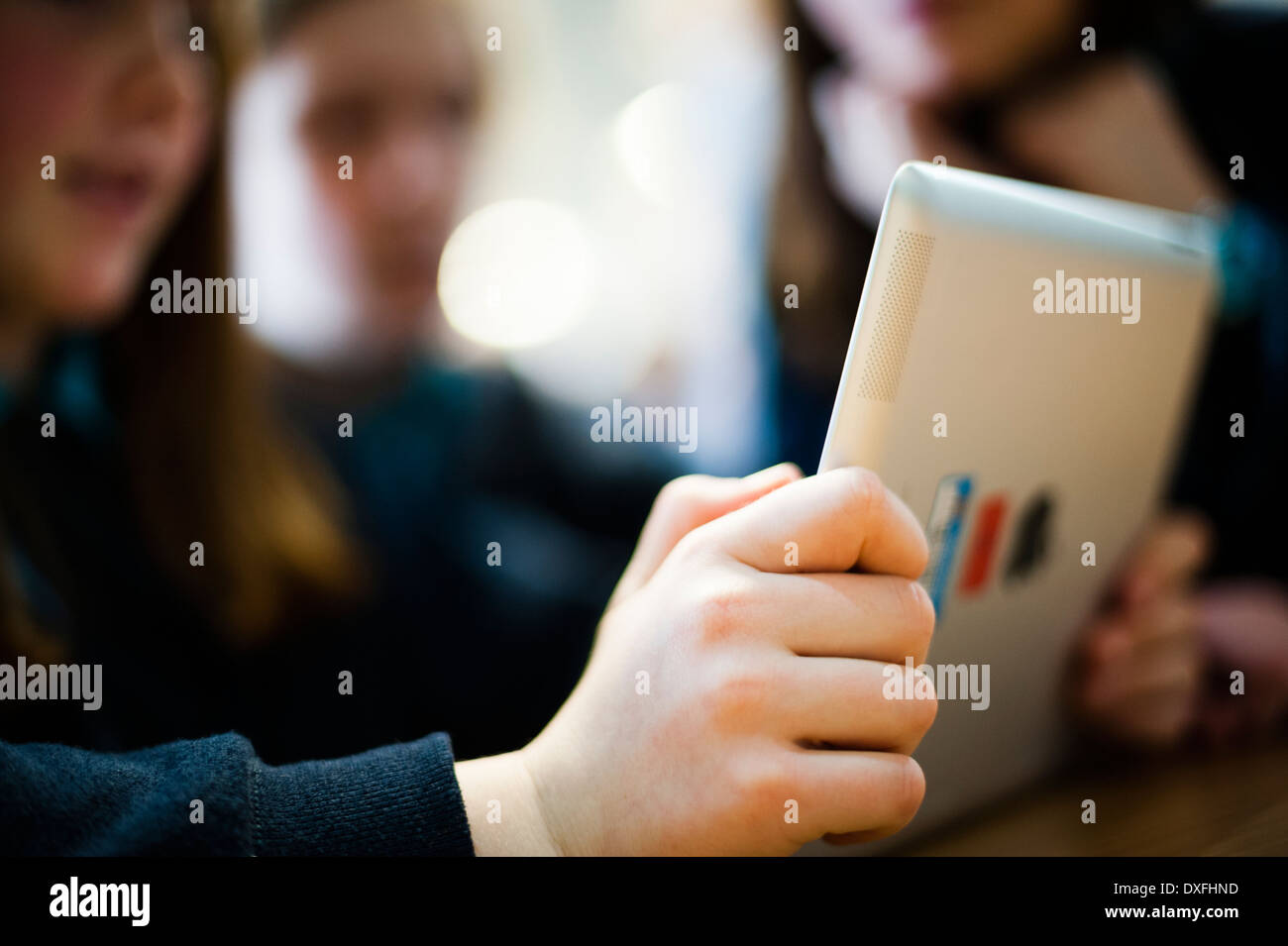 Primary school pupils using computers hi-res stock photography and ...