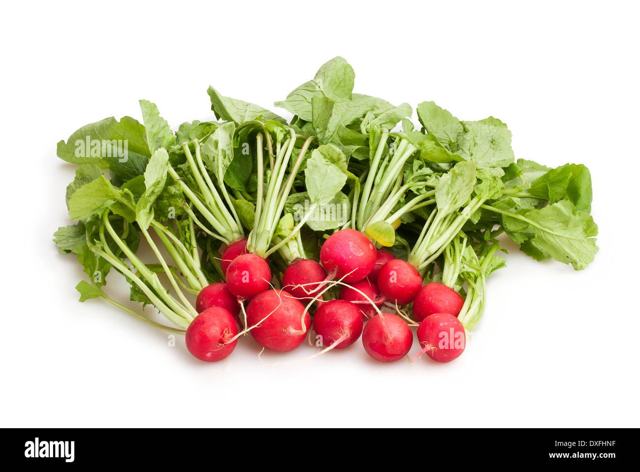 Pile isolated hi-res stock photography and images - Alamy