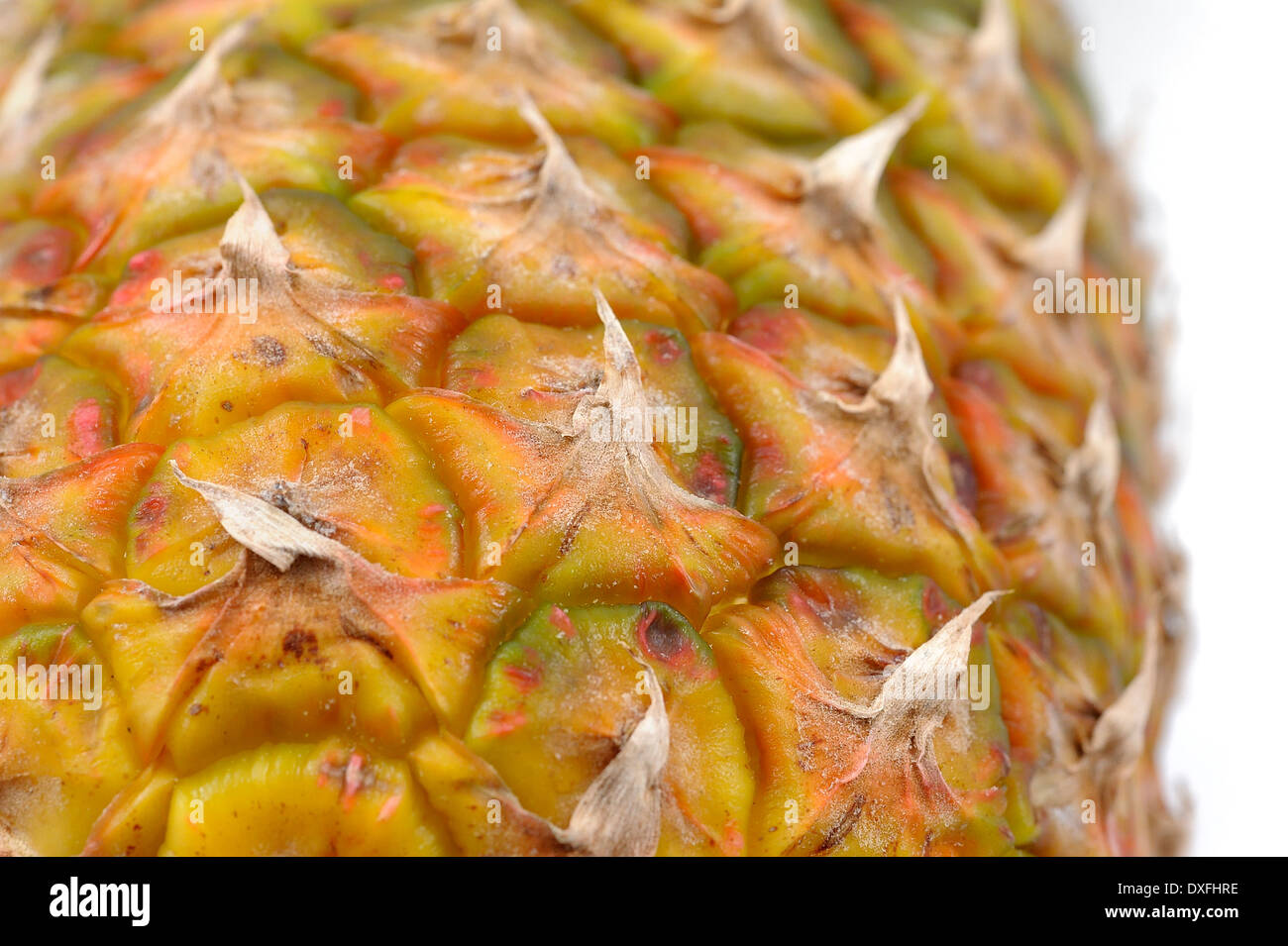 Close up pineapple skin hi-res stock photography and images - Alamy