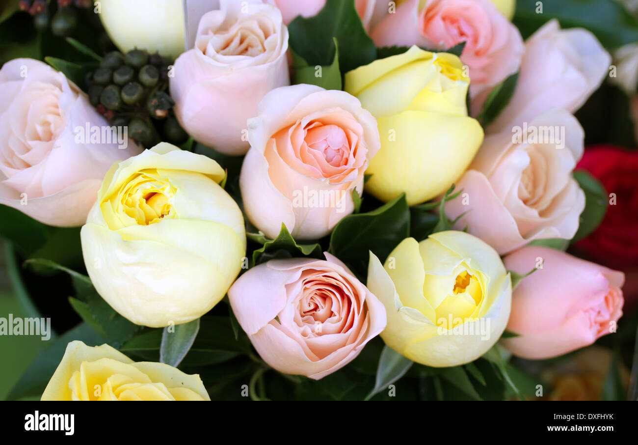 Roses in the shop Stock Photo - Alamy