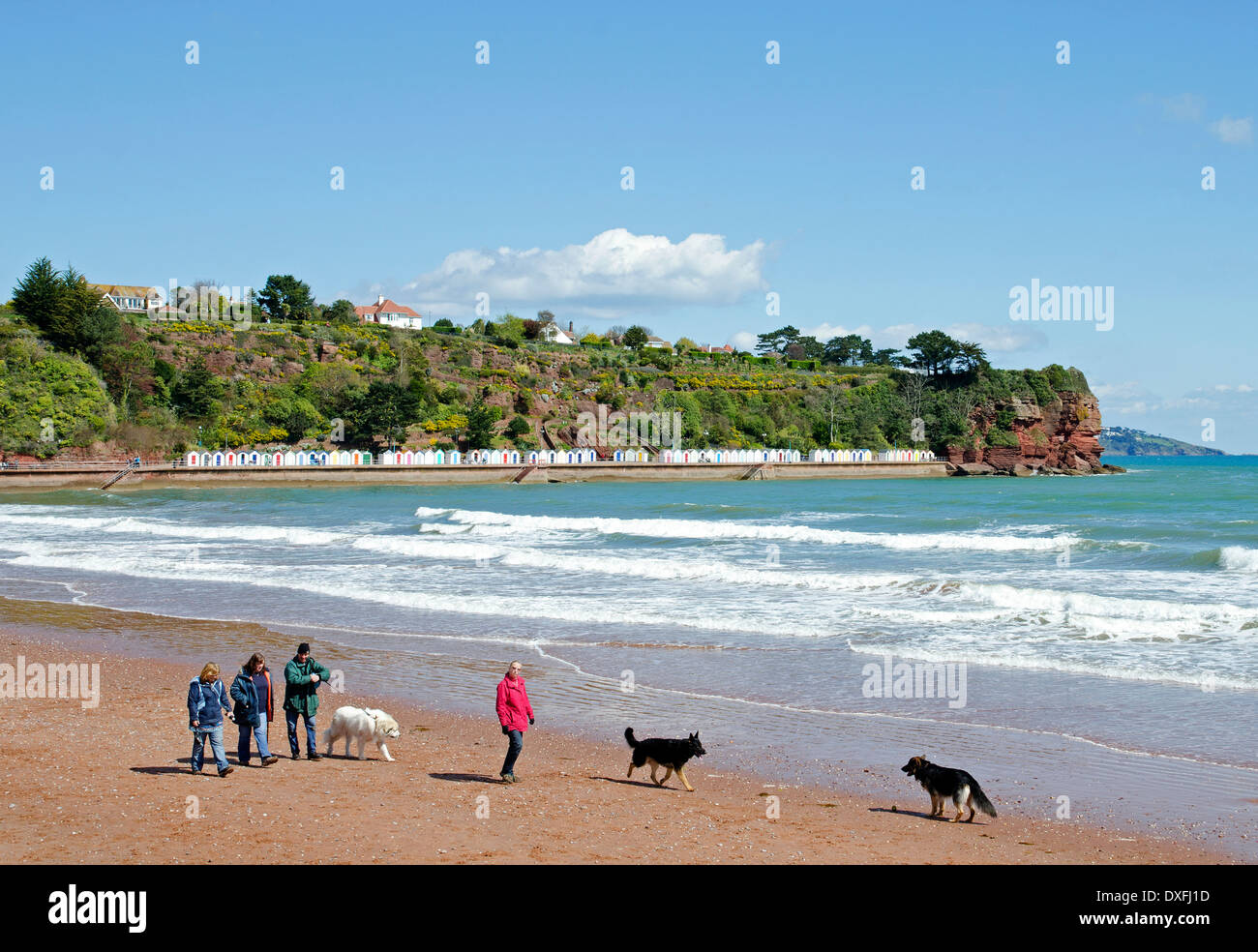 Goodrington sands near Paignton in Devon, UK Stock Photo - Alamy