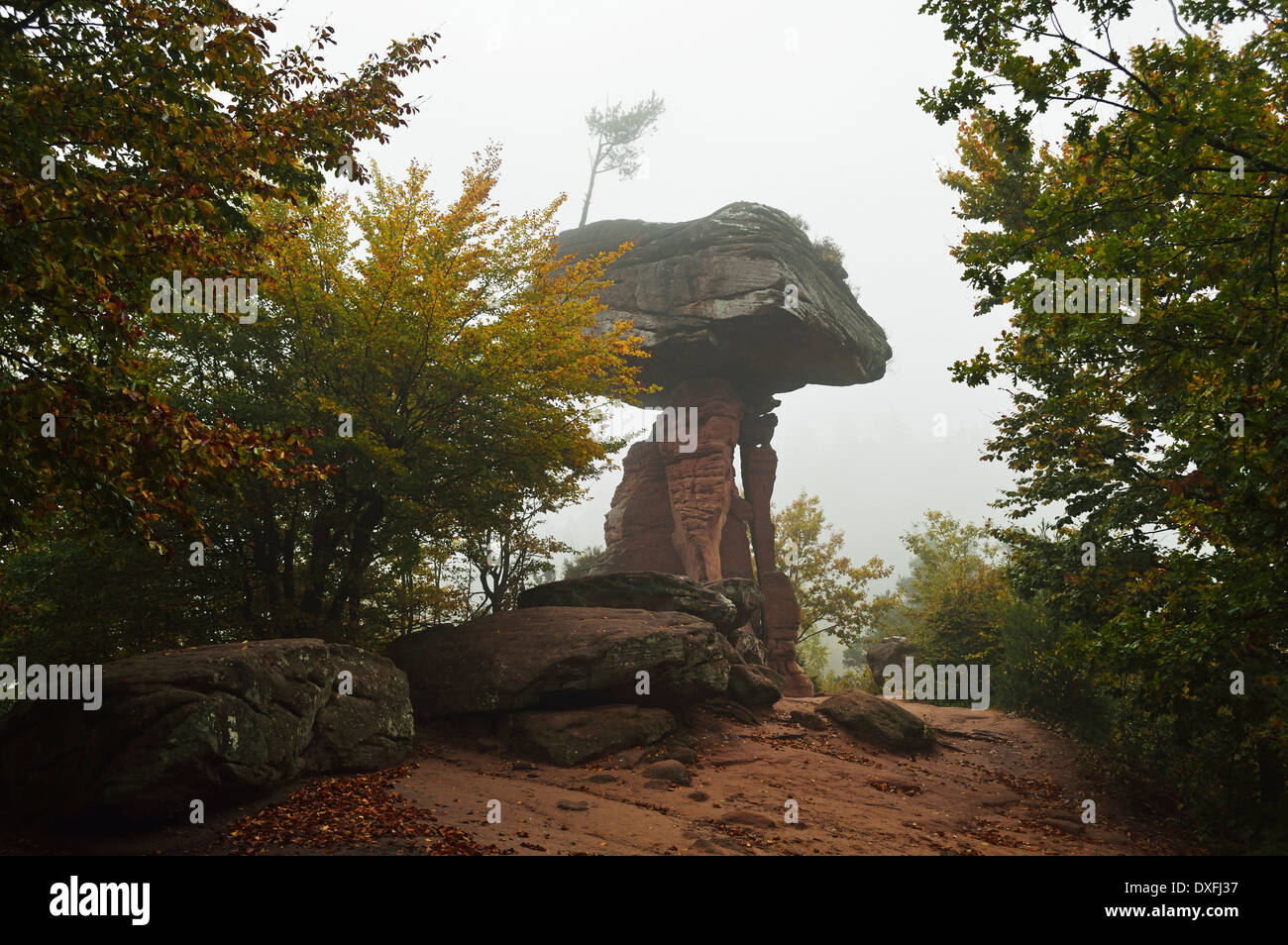 Devil's Table (Teufelstisch), Hinterweidenthal, Palatinate Forest ...