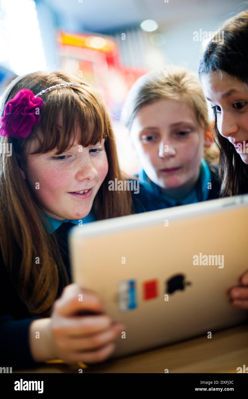 Primary school pupils using computers hi-res stock photography and ...