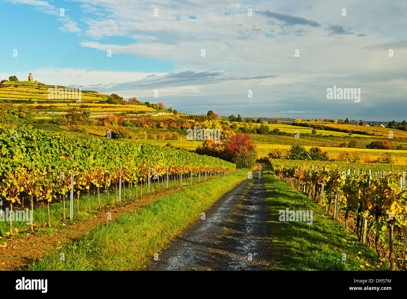 German scenic route hi-res stock photography and images - Alamy