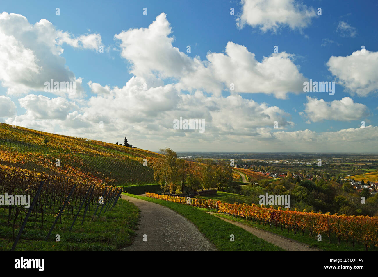 Baden weinstrasse wine route hi-res stock photography and images - Alamy