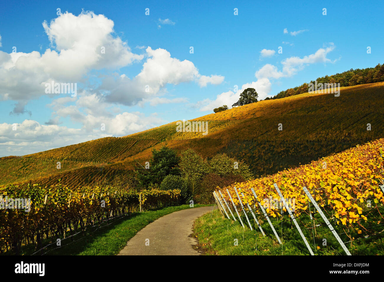Baden weinstrasse wine route hi-res stock photography and images - Alamy